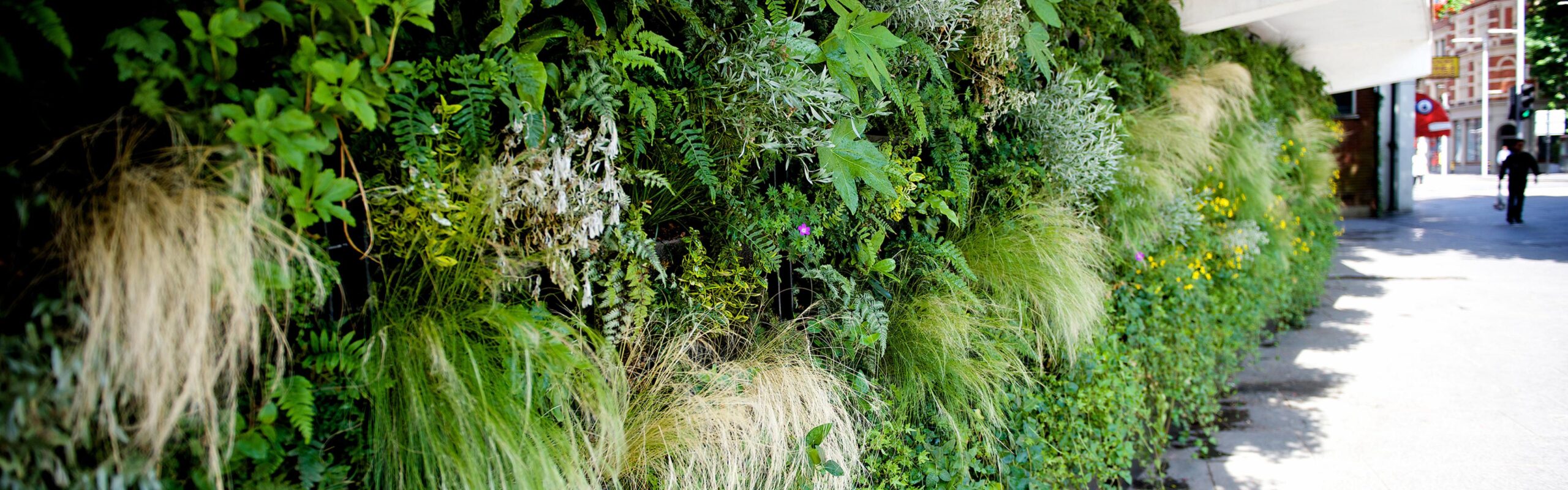 London Green Infrastructure Framework Stakeholder Webinar | ADPH London